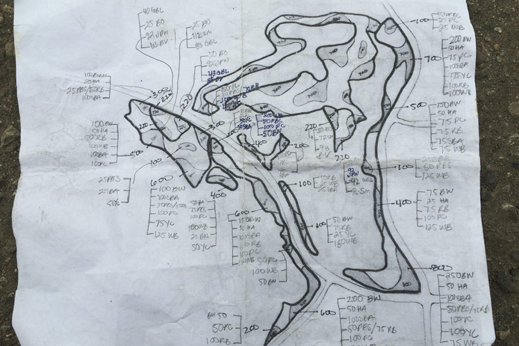 Braemar Golf Course - Landbridge Ecological