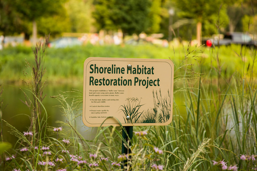 Installation - Landbridge Ecological