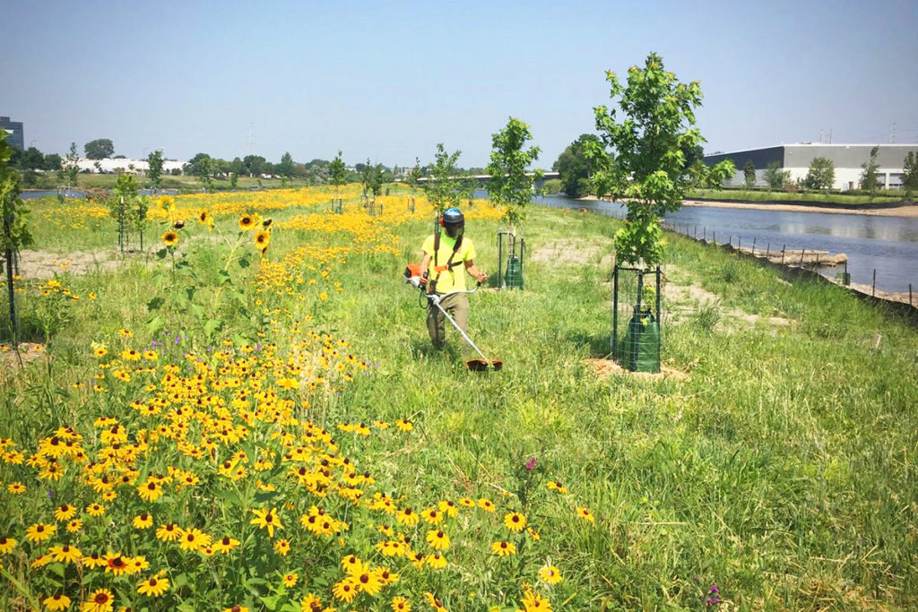 Land Management - Landbridge Ecological