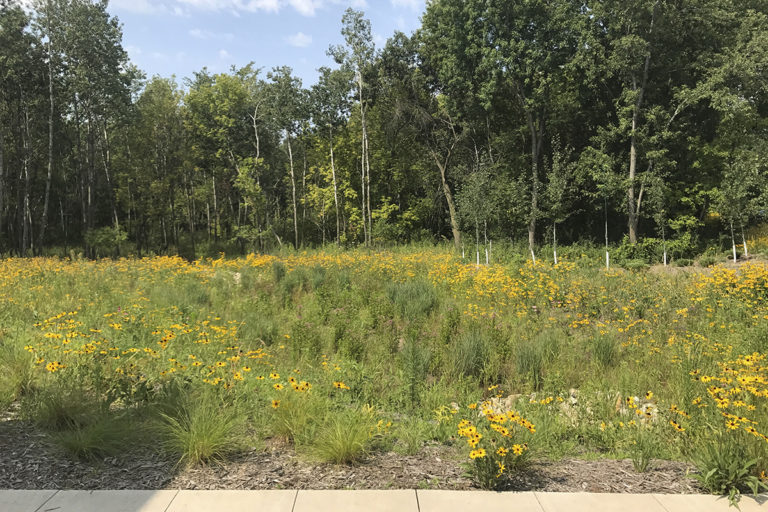 Spring Brook Nature Center - Landbridge Ecological