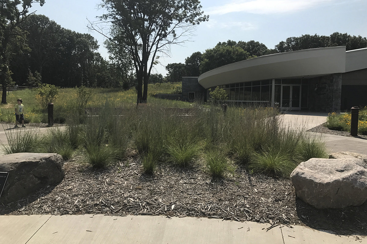 Spring Brook Nature Center - Landbridge Ecological